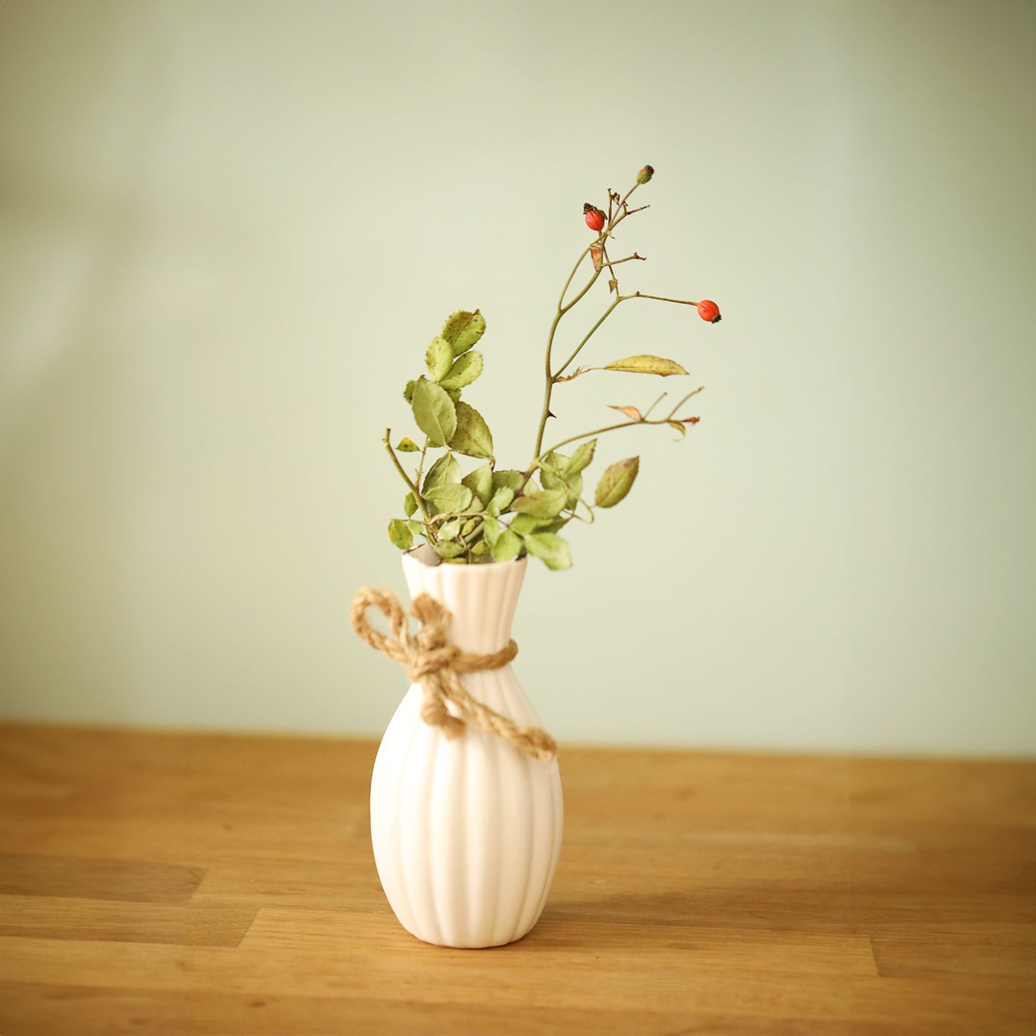 Kletterrose 'Super Excelsa®' - kaufen