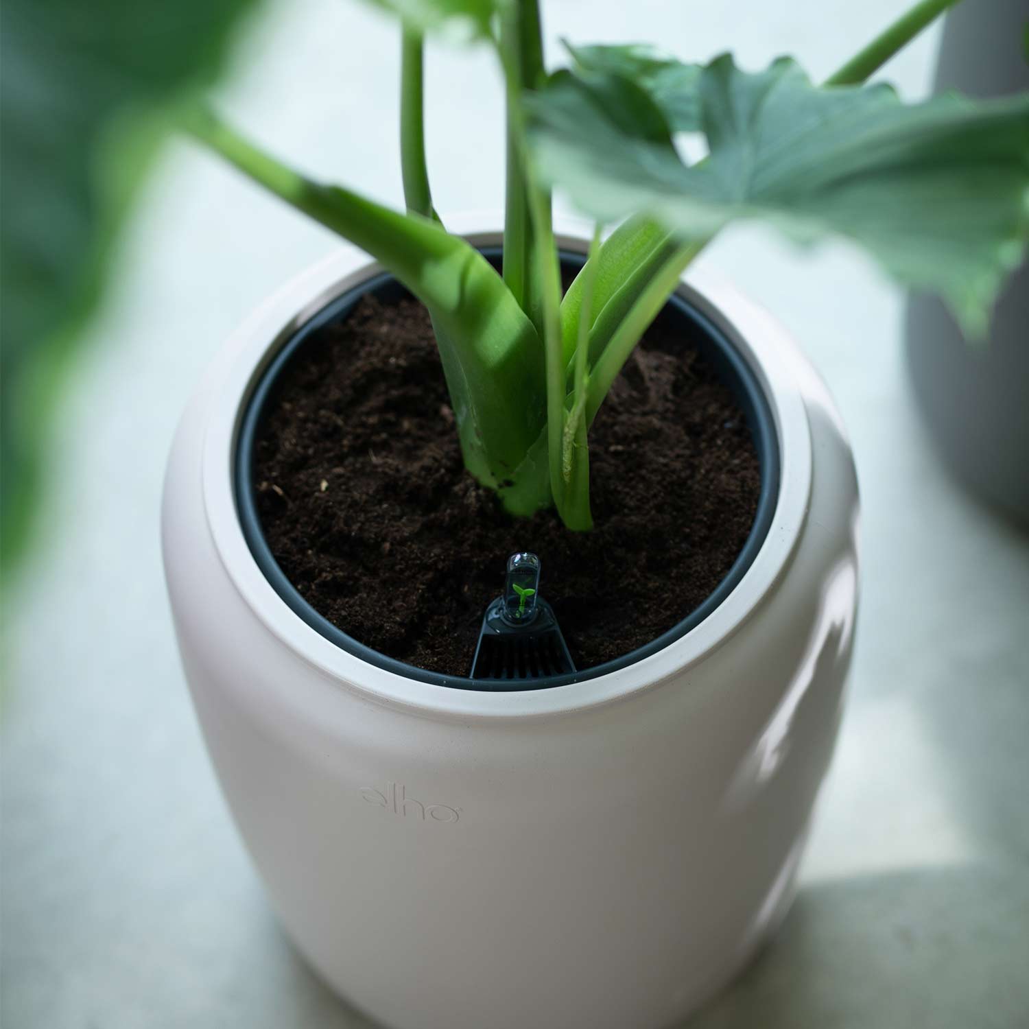 Selbstbewässerungssystem für Topfpflanzen - kaufen